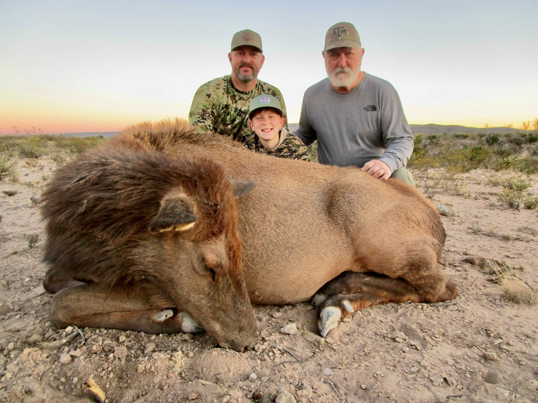 14 - WILDLIFE SYSTEMS, INC.: West Texas Free-Range Cow - Online Hunting ...