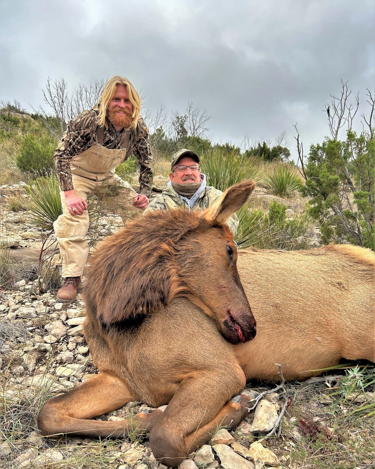 14 - WILDLIFE SYSTEMS, INC.: West Texas Free-Range Cow - Online Hunting ...